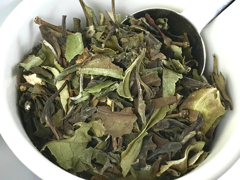 White Teas | Light of Day Michigan Tea Farm - Light of Day Organics